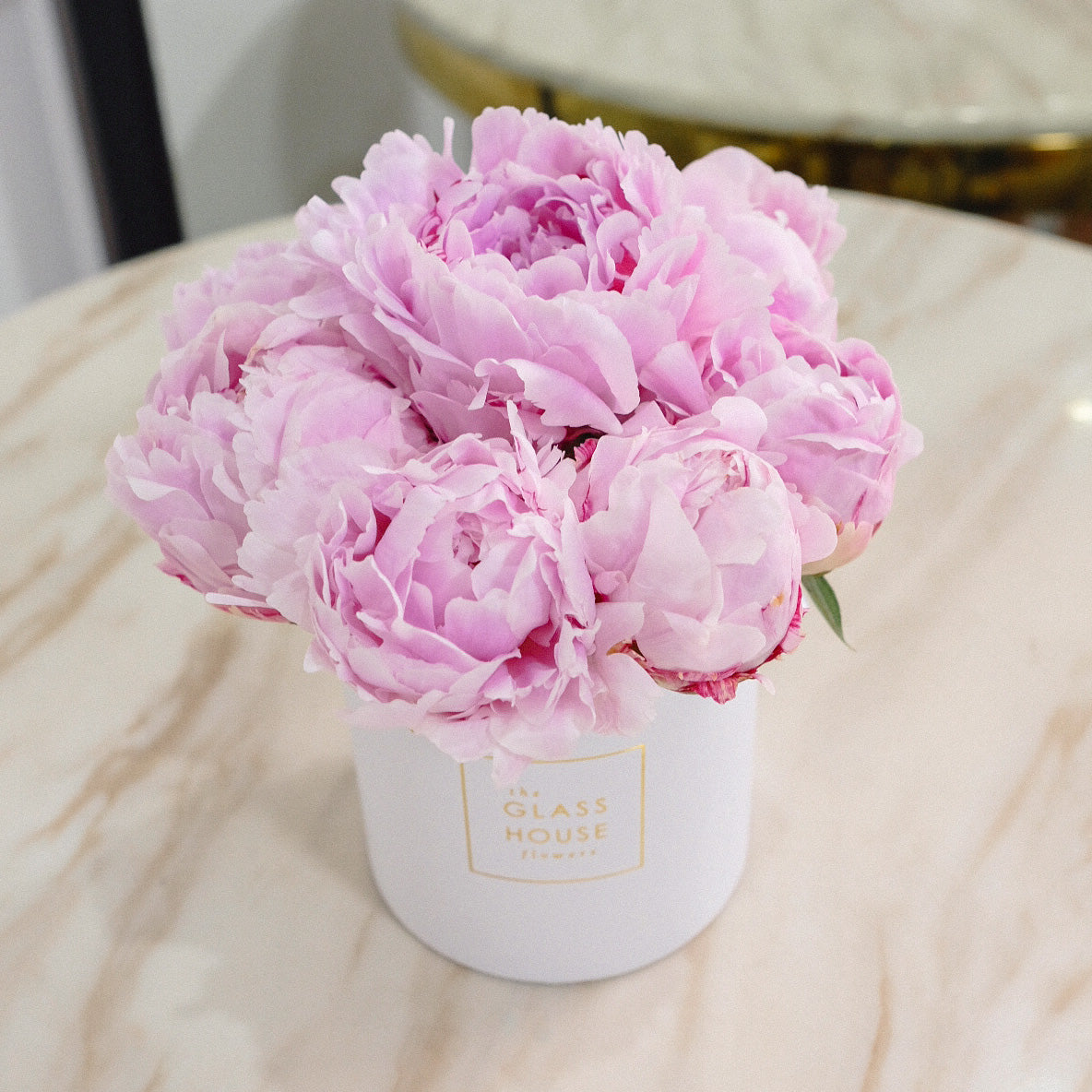 Peonies - Petite Round Box – The Glass House Flowers